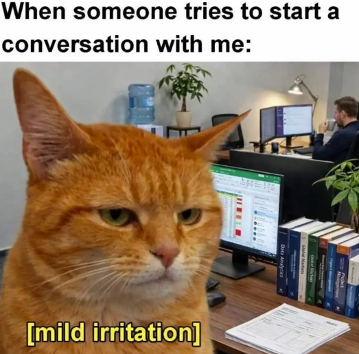 Funniest cat memes for feline fanatics