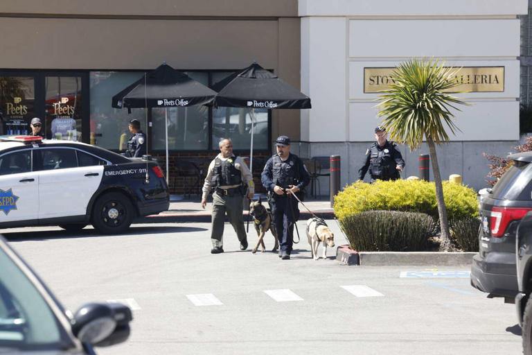 Stonestown Galleria reopens after SF police investigate threats that ...