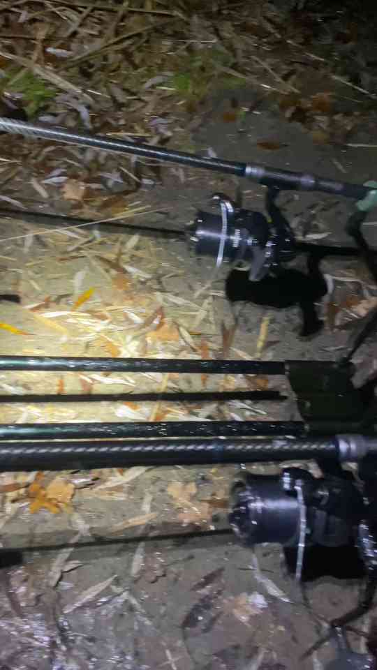Proven fishing strategies and key insights