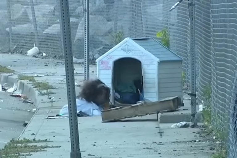 Dramatic moment LA sanitation staff nearly seal homeless people inside ...