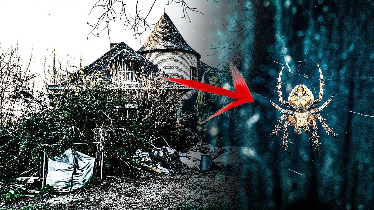 Finding the undiscovered - Will we do it?