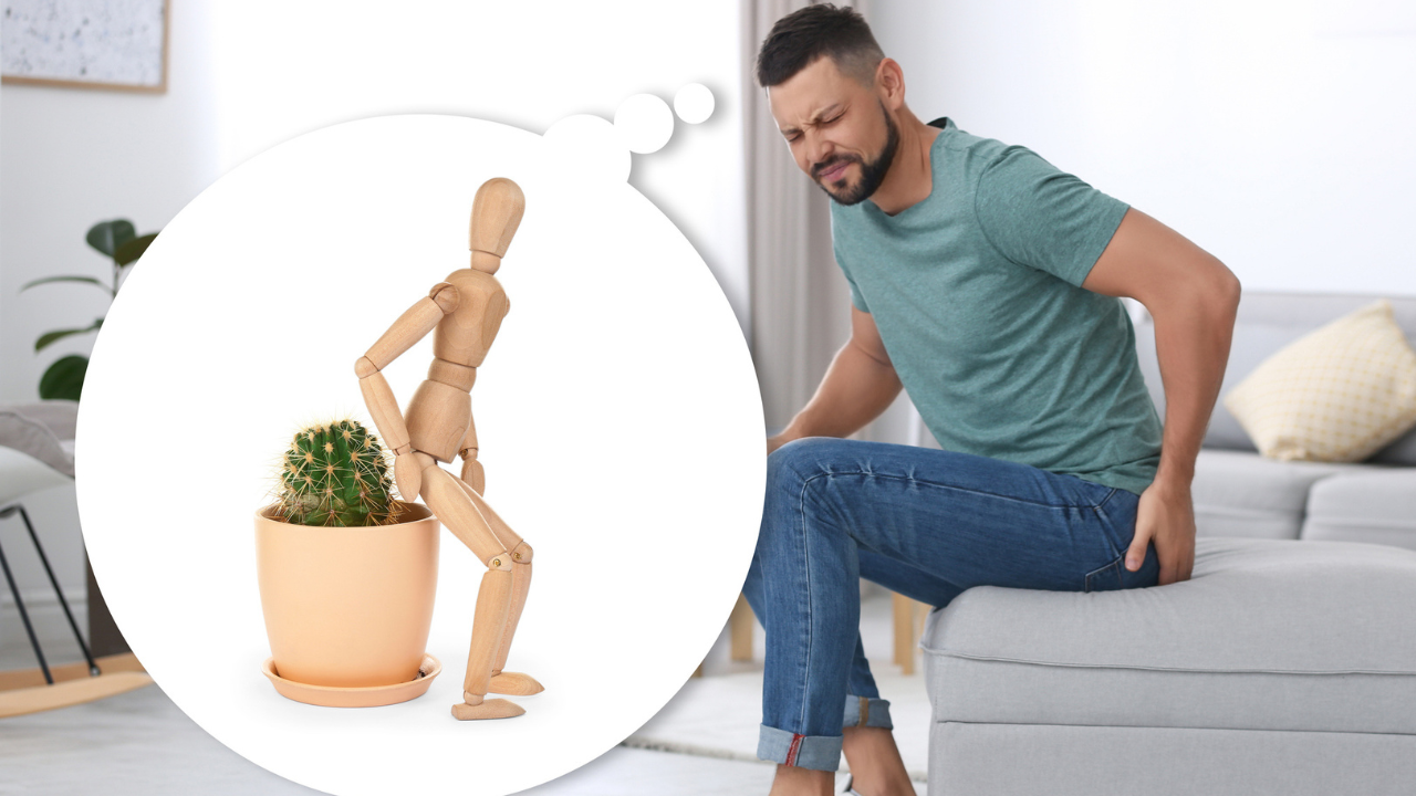 5 symptoms of piles and fissures that should never be ignored ...