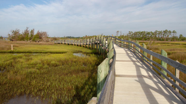 North Carolina's 5 best traveler-recommended weekend backpacking trips ...