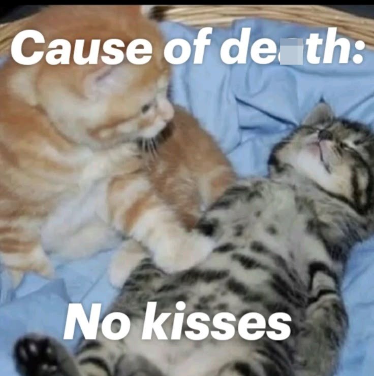 21 memes that totally give off new couple energy