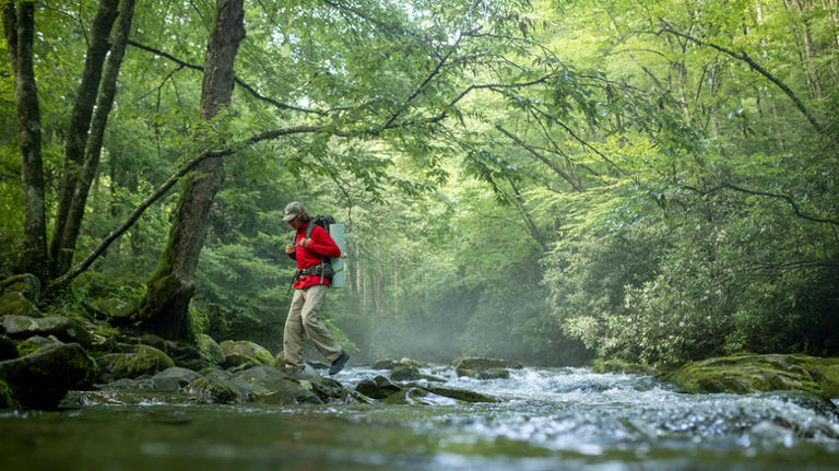 North Carolina's 5 best traveler-recommended weekend backpacking trips ...