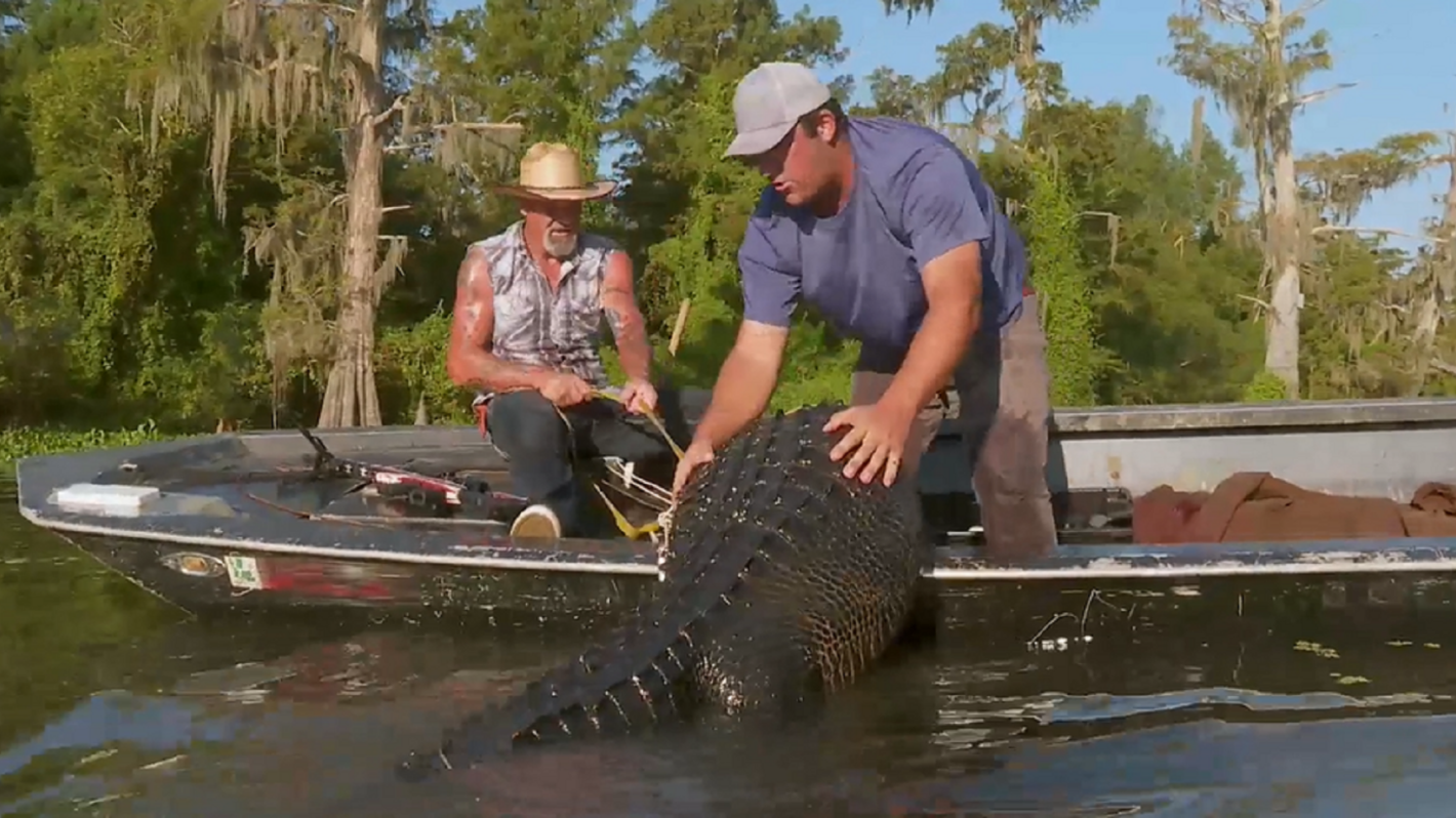 'Swamp People': Don Brewer & Calum Landry capture giant legendary gator