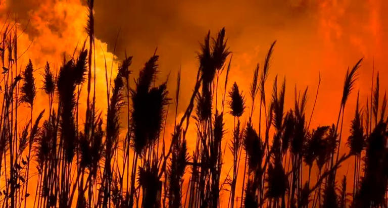 Burn restrictions rescinded in Colorado Springs as wildfire risk decreases