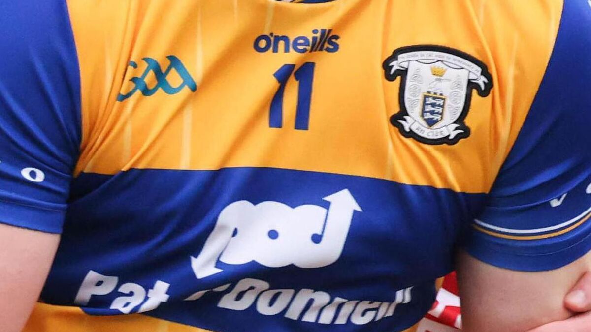 Hegarty goal seals scrappy first round win for Clare against Waterford ...