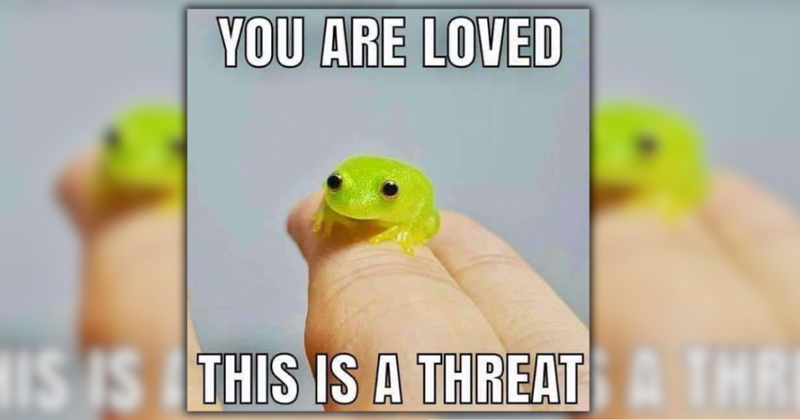 30 wildly wholesome animal memes for a wonderfully warm weekend
