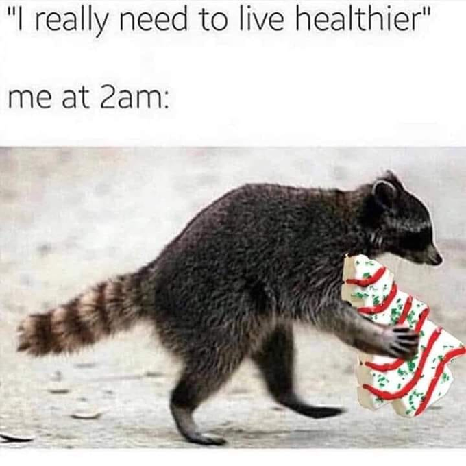 30 wildly wholesome animal memes for a wonderfully warm weekend