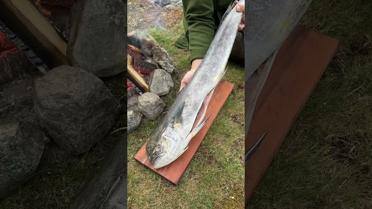 How will this huge mahi mahi taste?
