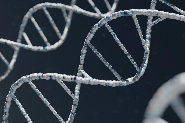 Científicos editan por primera vez genes de embriones humanos: podrían ...