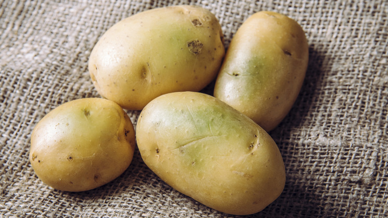 Myths about sprouted potatoes: Are they safe to eat or not?