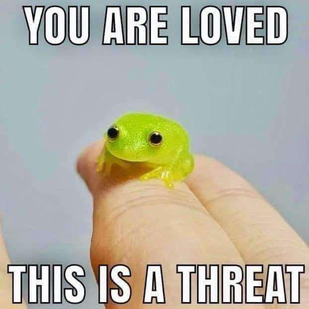 30 wildly wholesome animal memes for a wonderfully warm weekend