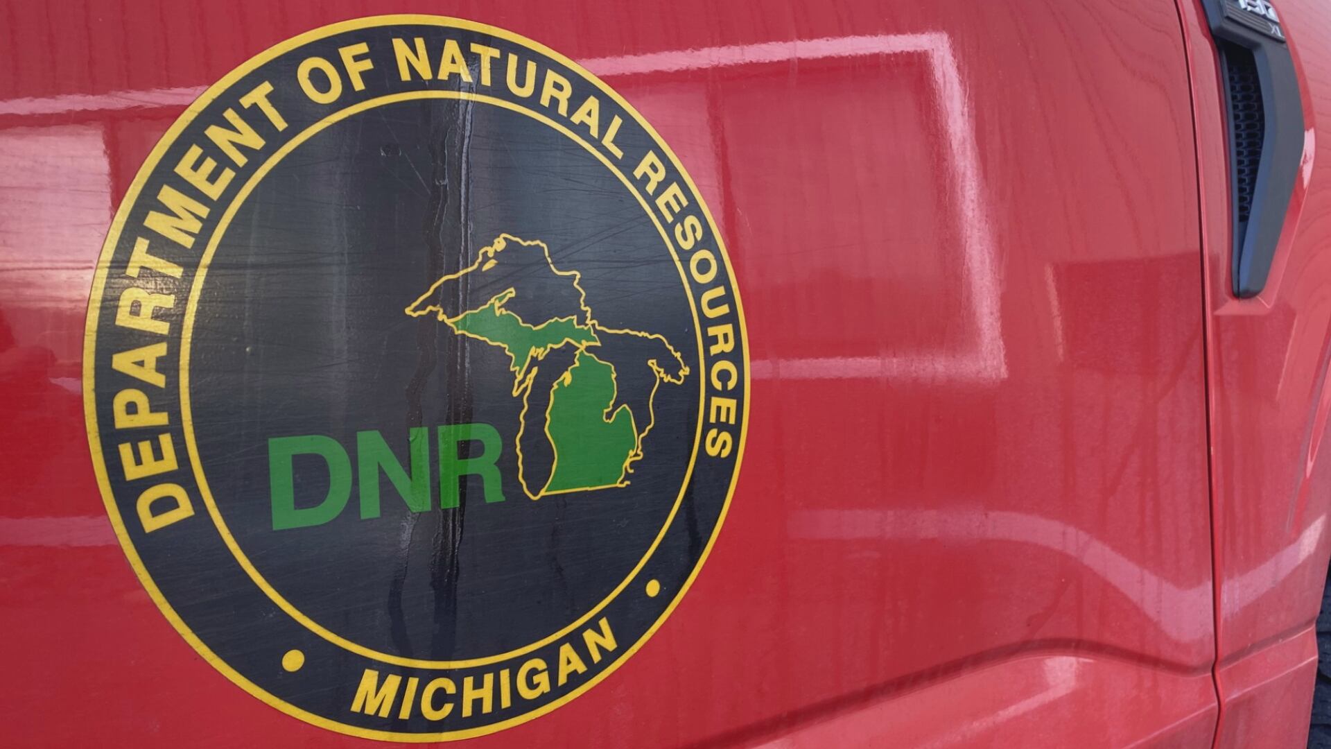 DNR releases updated brush dumping guidelines