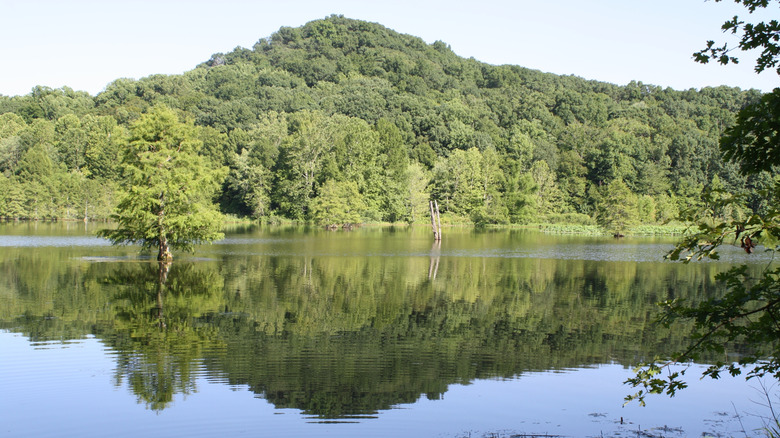 Nestled between Indy and Louisville is a beautiful Indiana park for ...