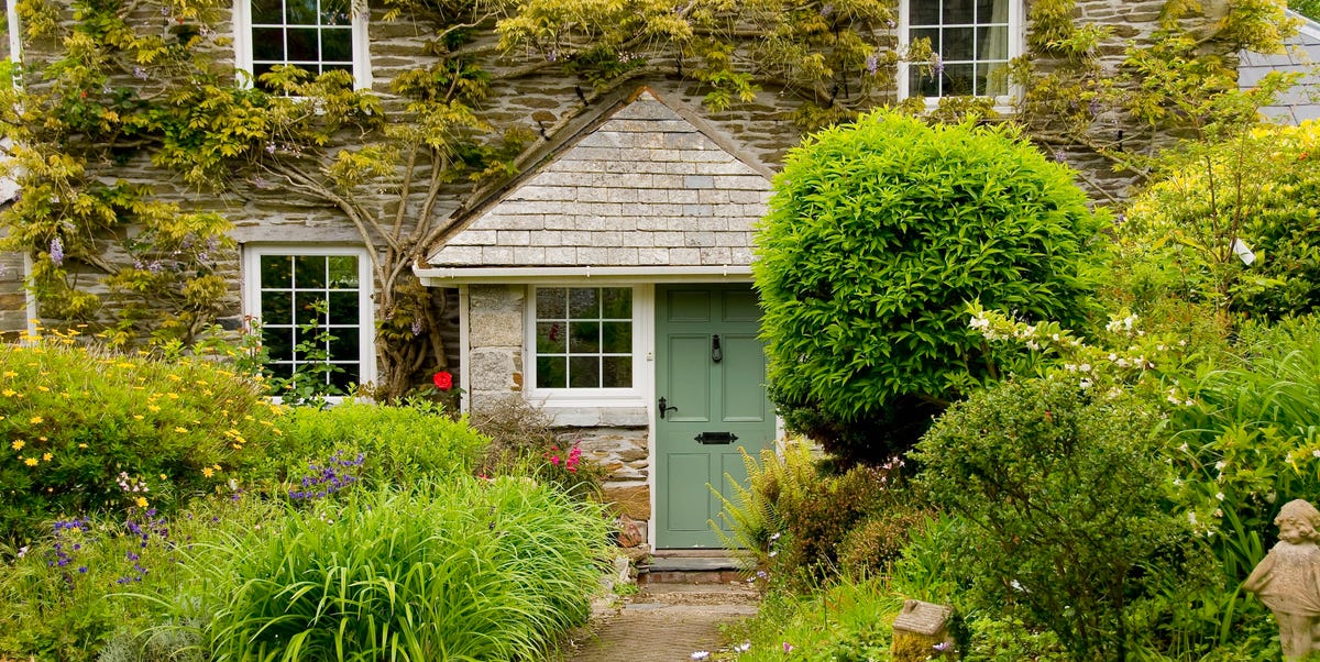 5 trees and shrubs that could add thousands to your home's value