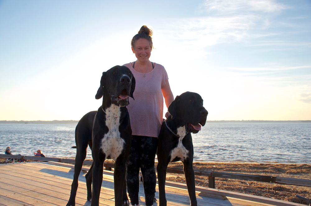 The 15 tallest dog breeds that are great pets