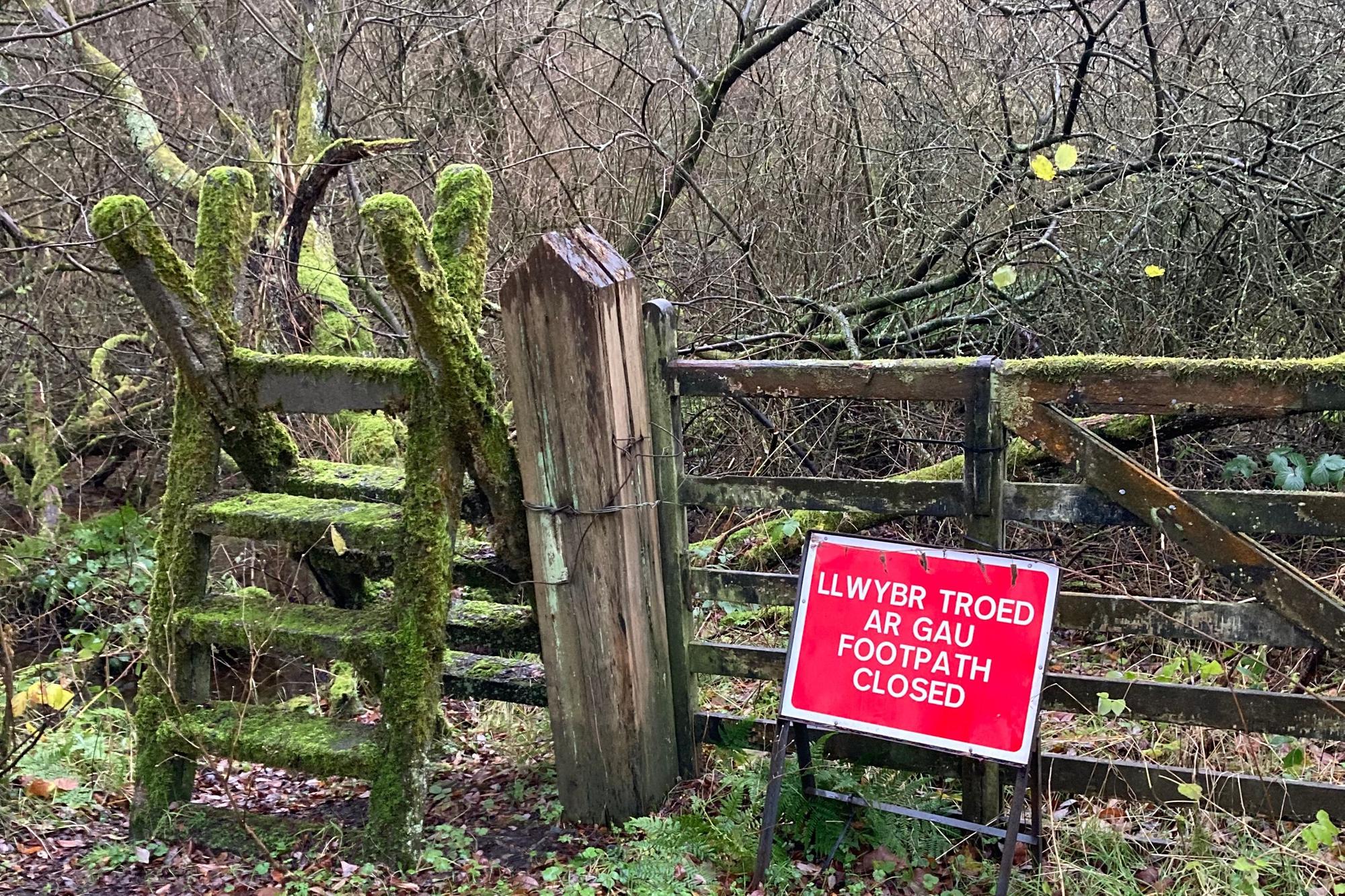 84% of Britons say access to nature should be a basic right
