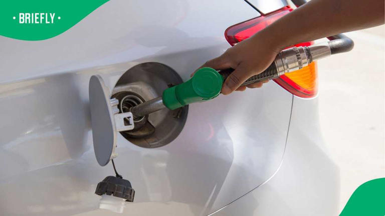Concerns rise over fuel supply in Western Cape, premier urges ...