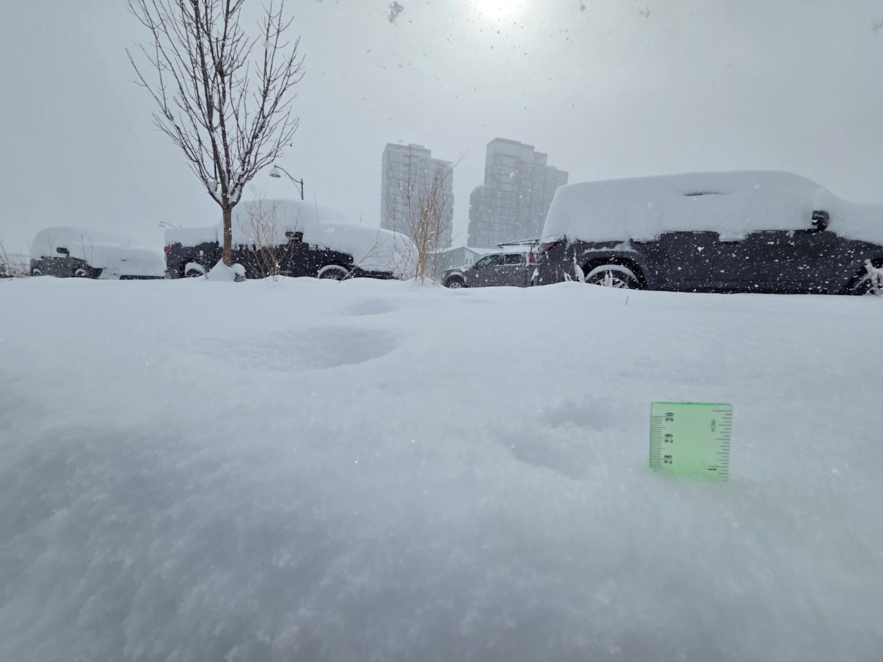 North Calgary sees biggest snowfall of the year, more possible this month