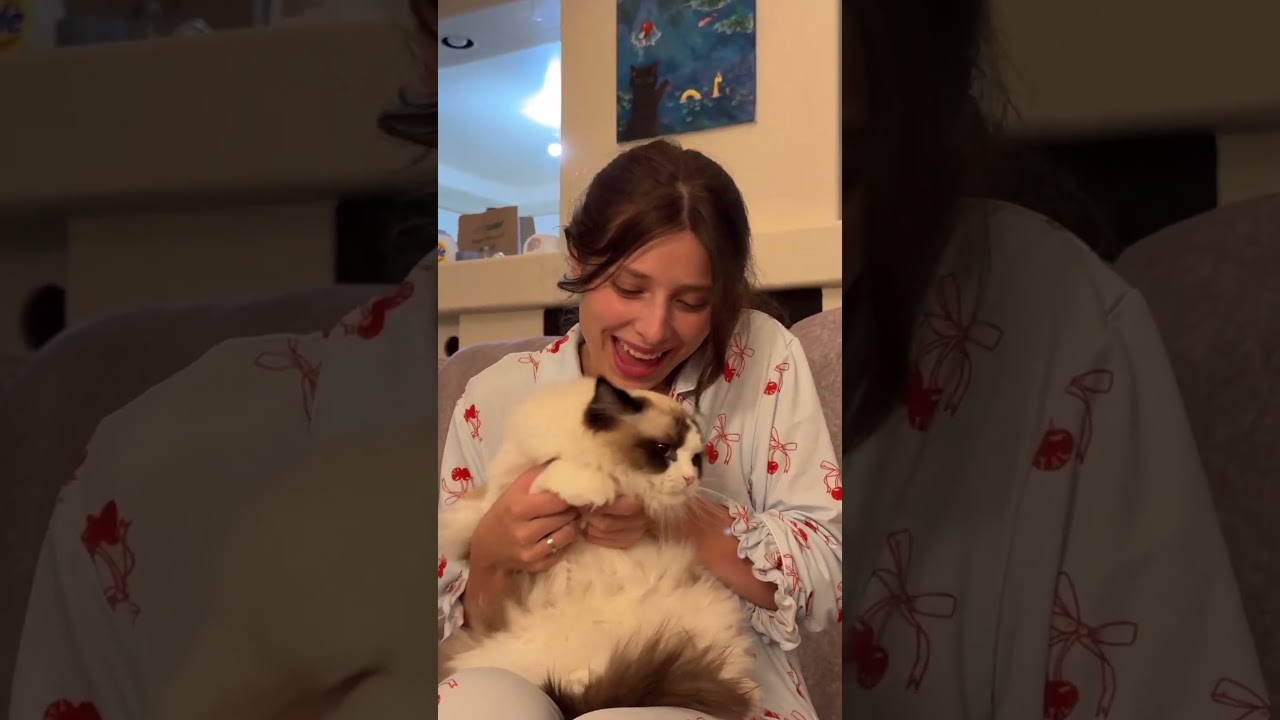 Watch this loud orange cat demand the cutest custom theme song in the world