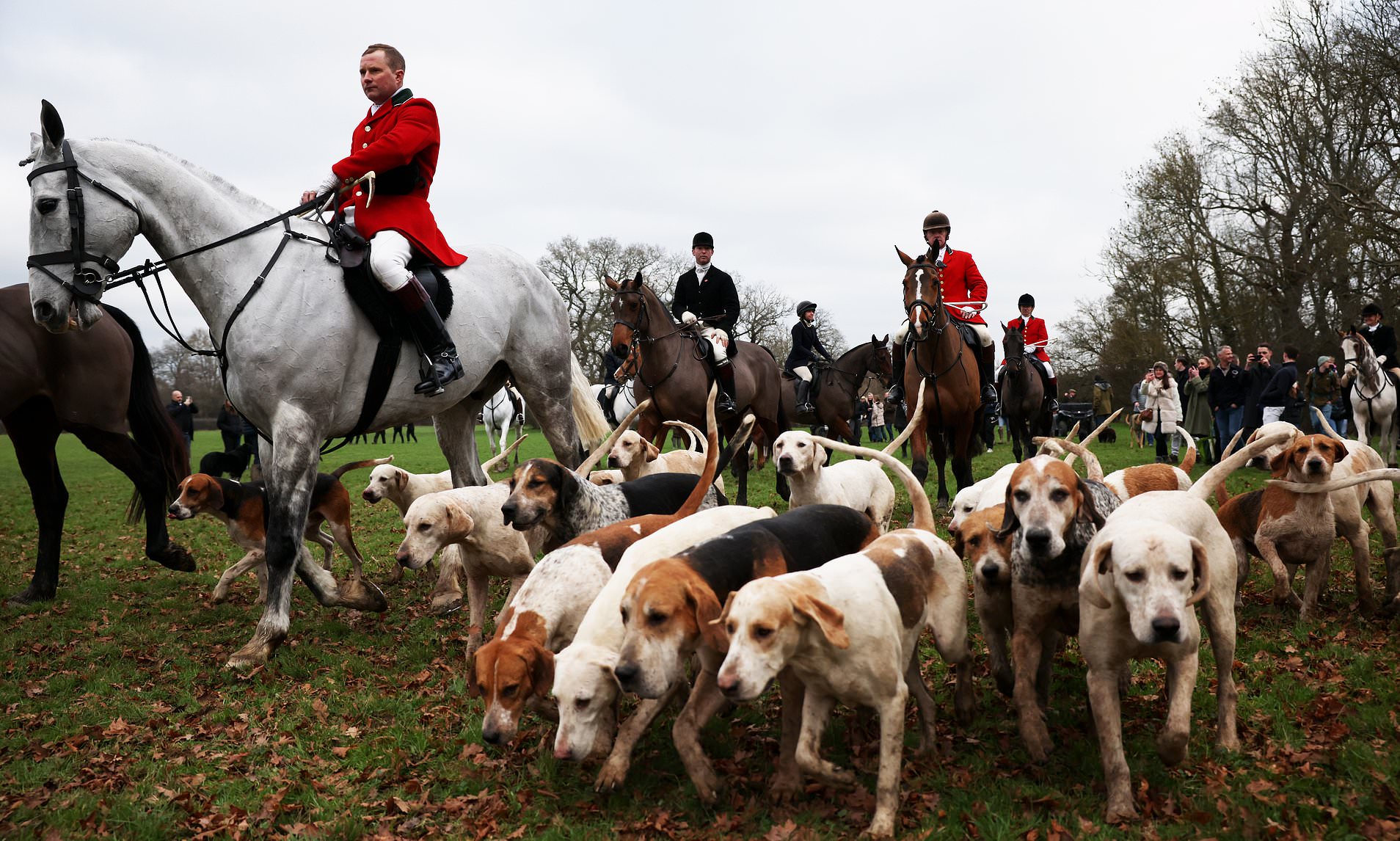 Labour triggers fresh rural outrage after sneaking out 'unjustified and ...