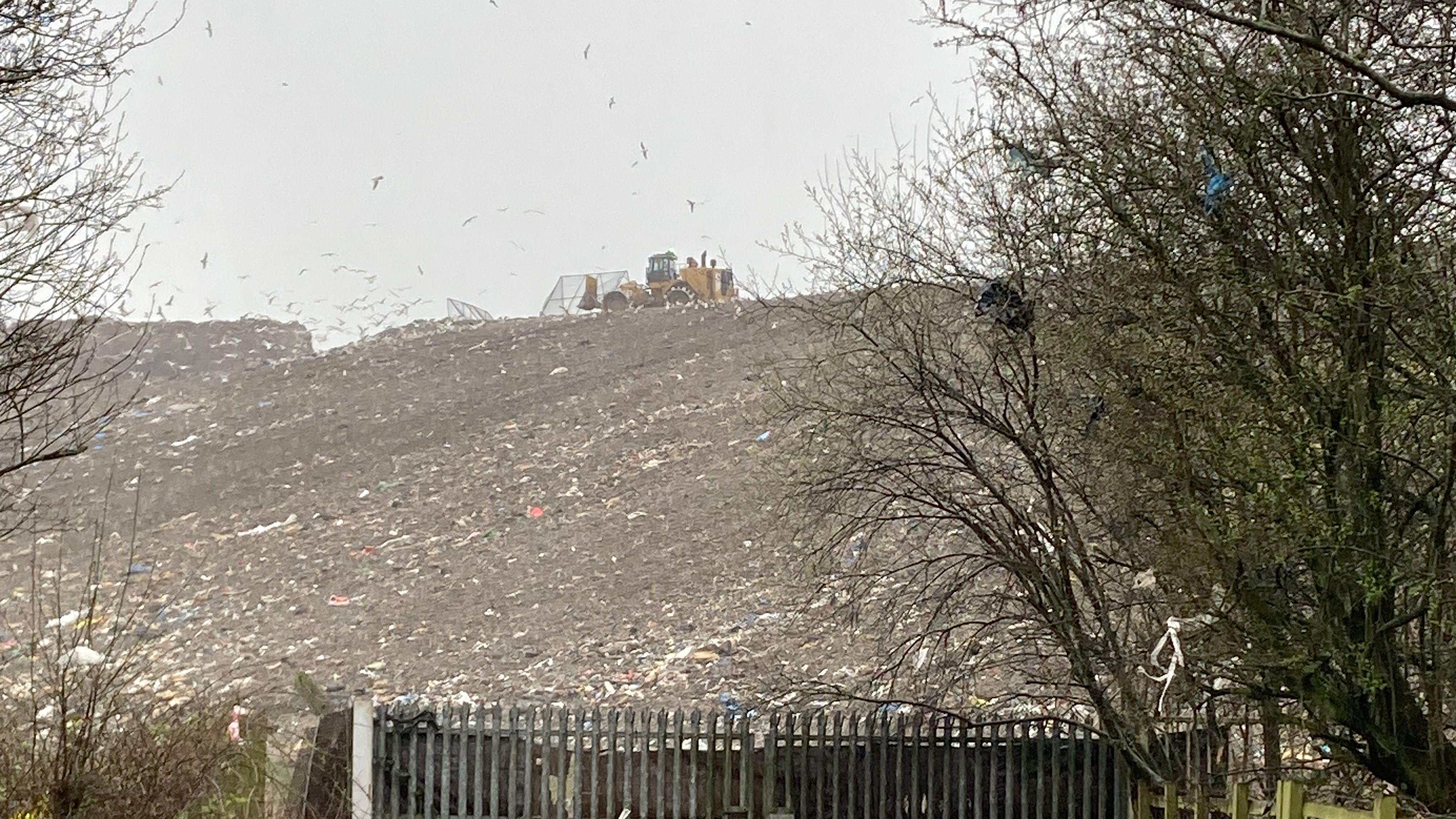 Hundreds complain over landfill site odours