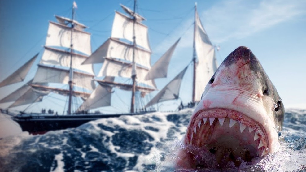 Watch 444 men stranded at sea while sharks close in