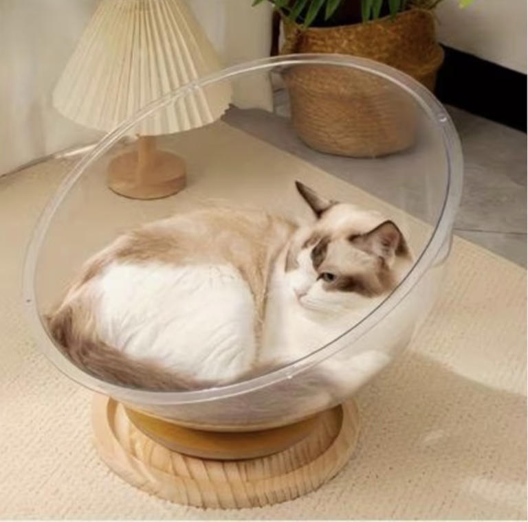 Chewy is selling a cool capsule cat lounger for $27 and it's straight ...