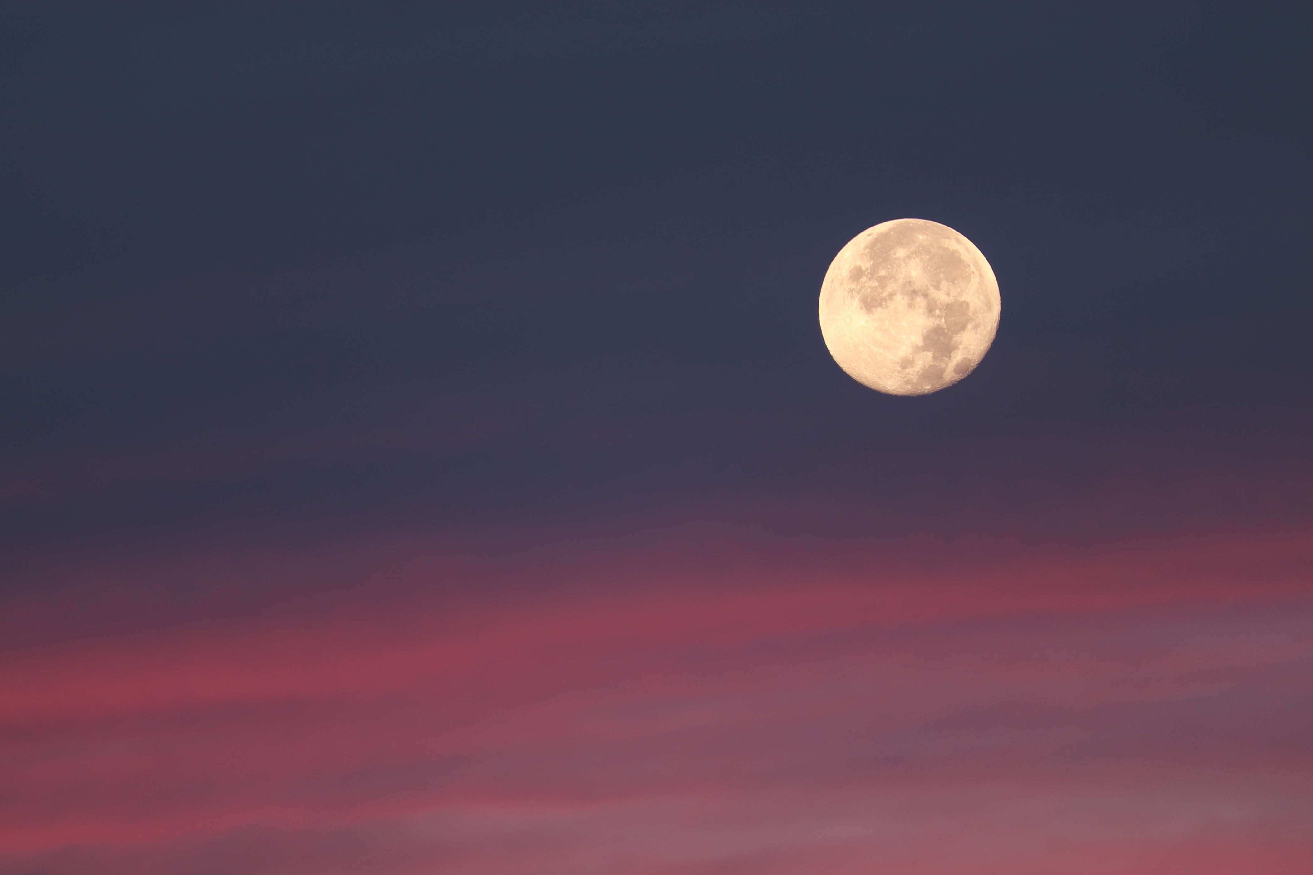 Look up tonight: April’s full pink moon reaches peak brightness