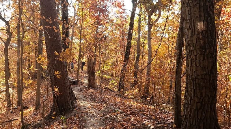 This 60-mile Indiana trek is the state’s longest backpacking trail for ...