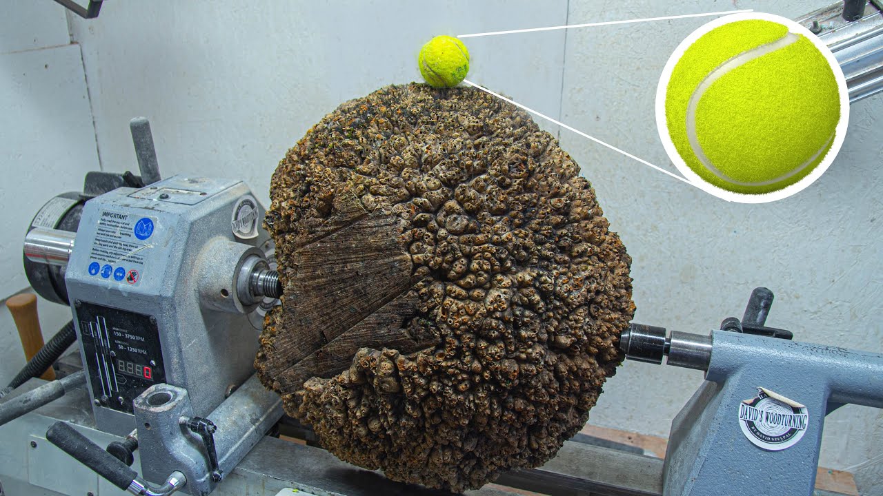 Gigantic burl becomes stunning bowl