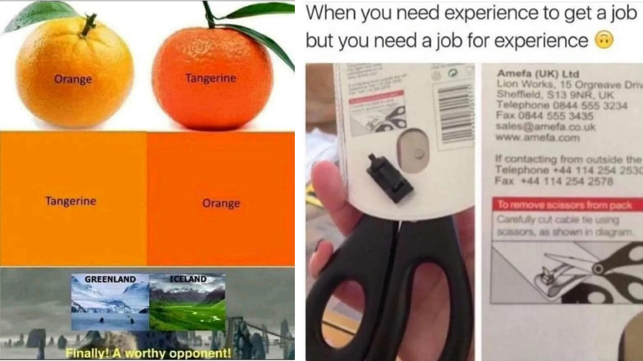 30 weird memes that make no sense but still hit