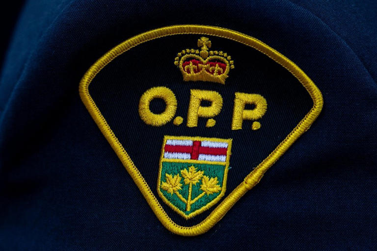 OPP seek suspect after alleged identity fraud used to buy luxury ...