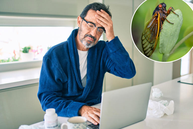 Everything you need to know about the new highly mutated 'Cicada' COVID ...