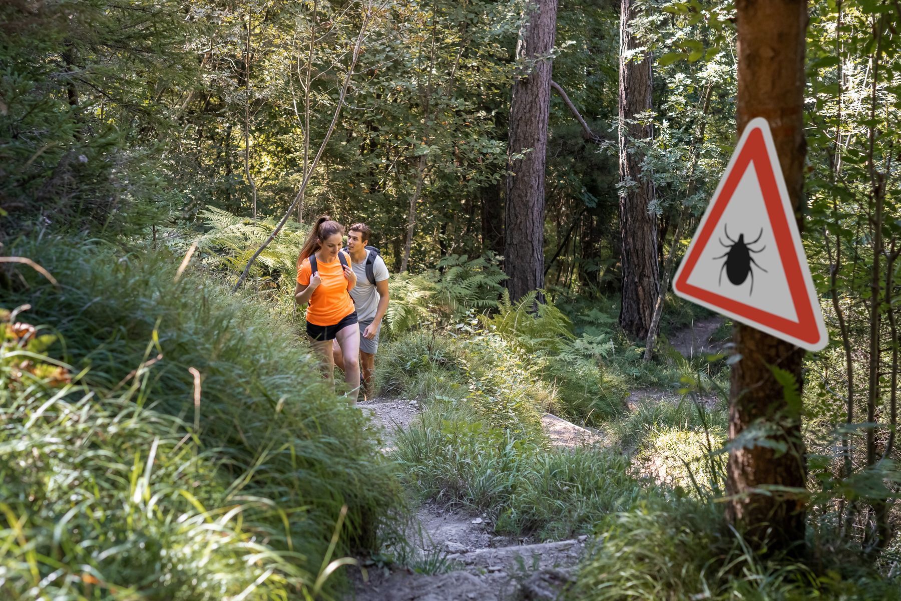 Lyme disease: 20 facts to help you stay informed
