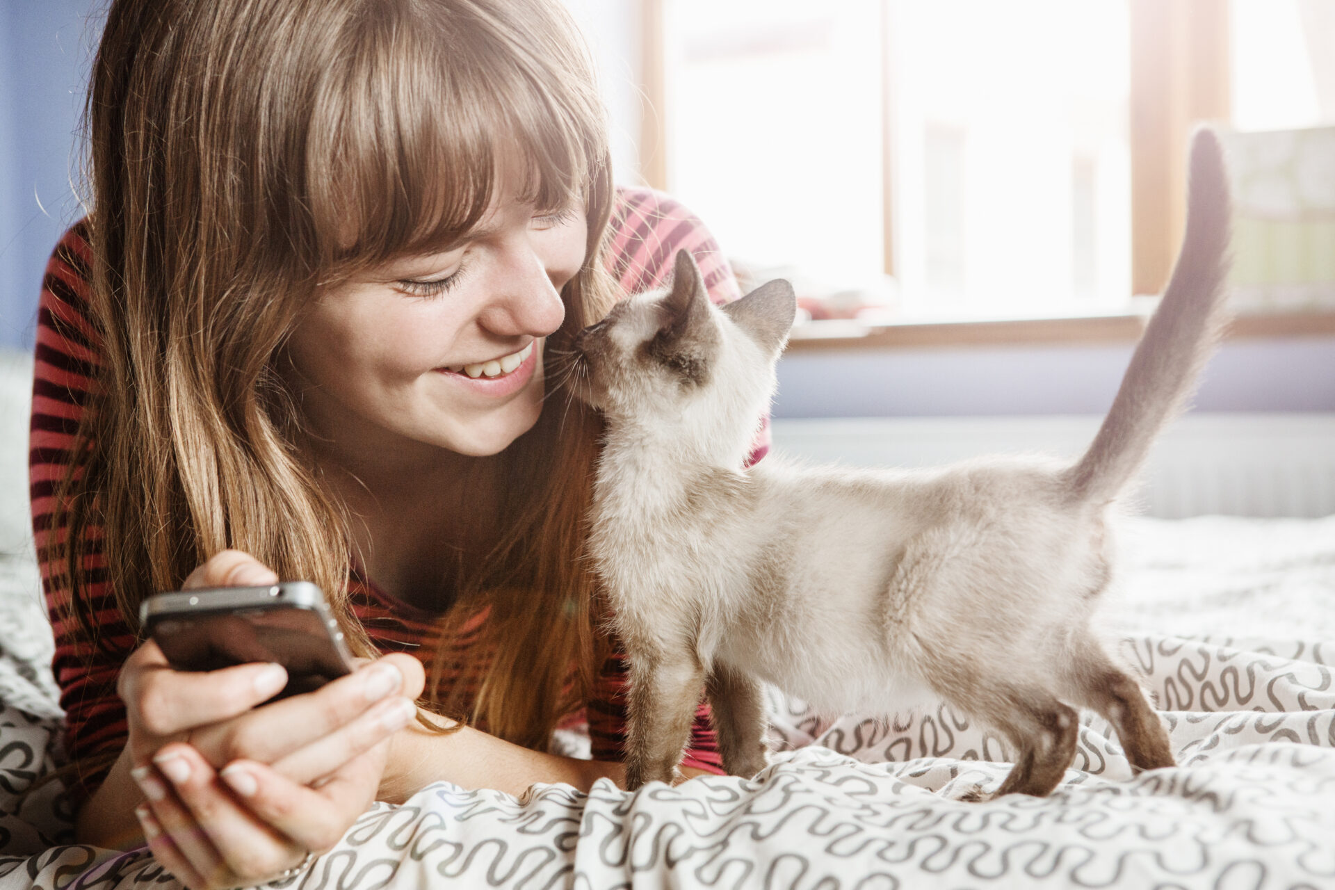 Generación Z: ¿Por qué prefieren gatos en lugar de perros?