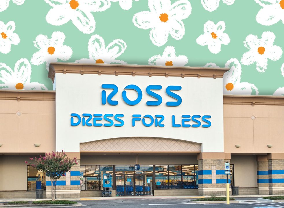 11 best new Ross Dress for Less organization finds hitting shelves this ...