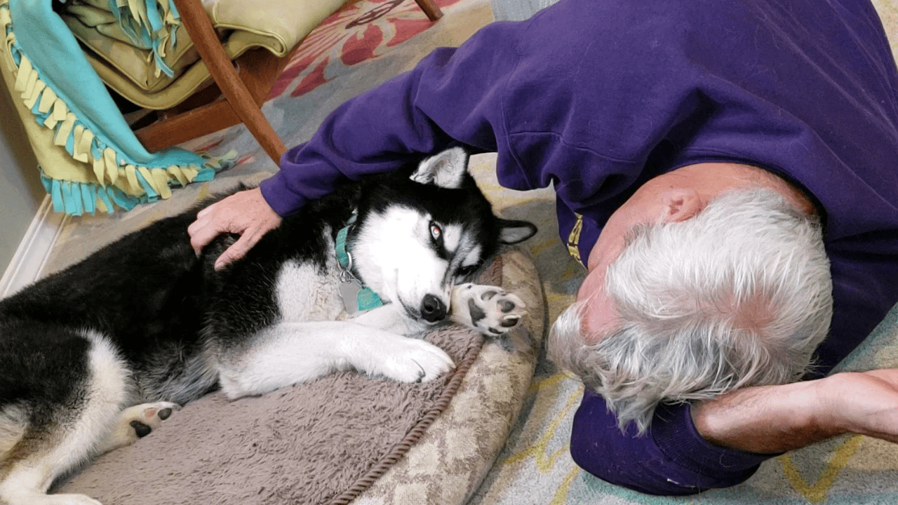 20 dads with the “pets they didn’t want”
