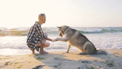 Ancient jawbone discovery reshapes timeline of how dogs joined human life