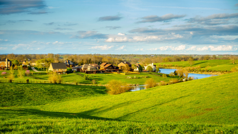 How to choose which type of grass seed is right for your lawn