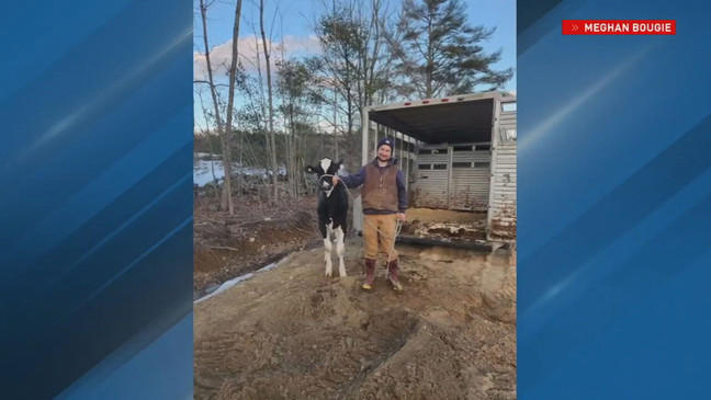 Jury finds Leeds man guilty of murdering Windham man