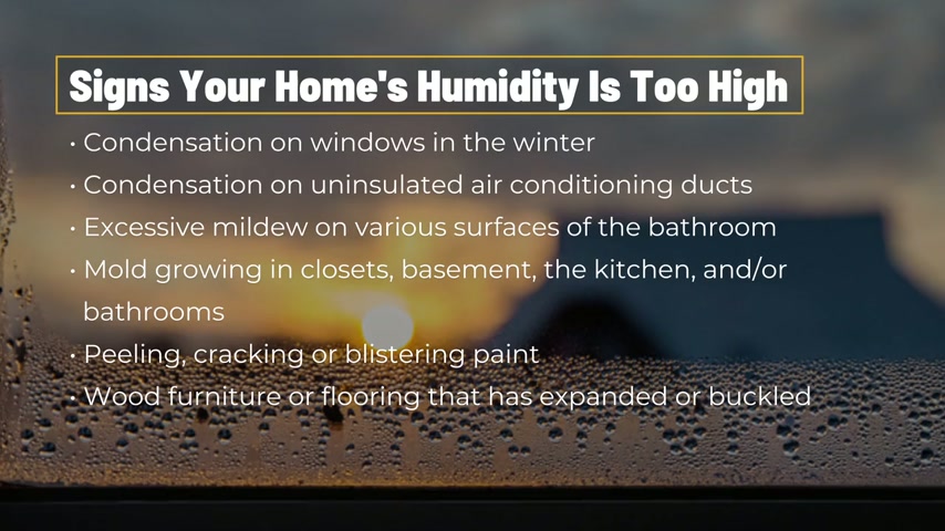 The ideal humidity level for your home (and why it matters)