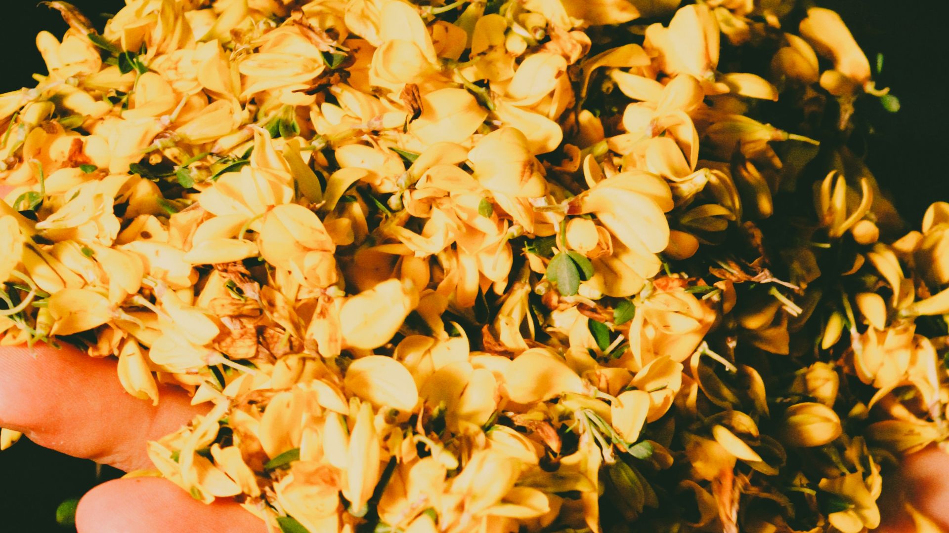 20 hidden toxins in your home making you feel fatigued