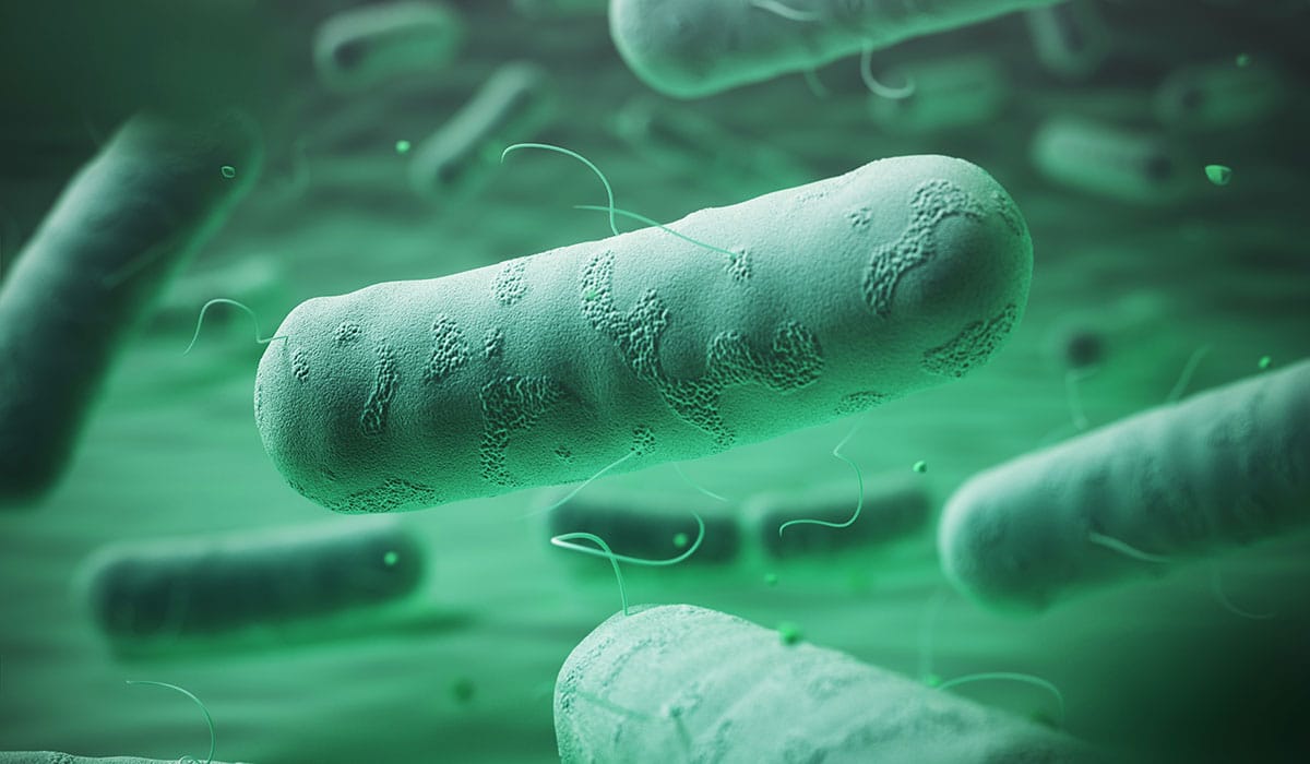 Fresh global health fears as virus 'deadlier than COVID' has become ...