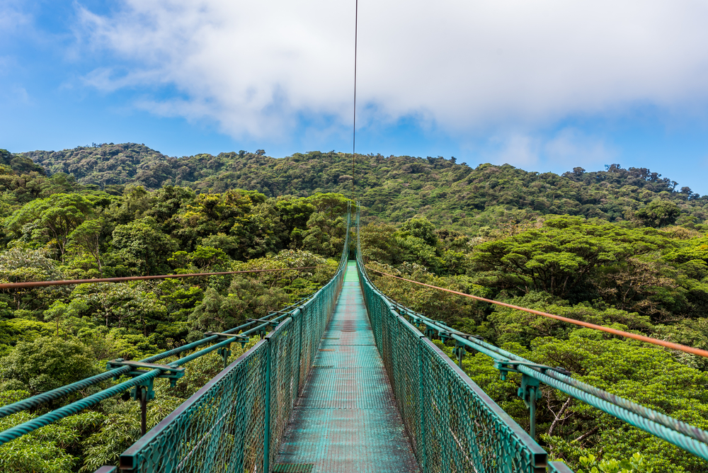12 sustainable food experiences in eco-tourism hotspots