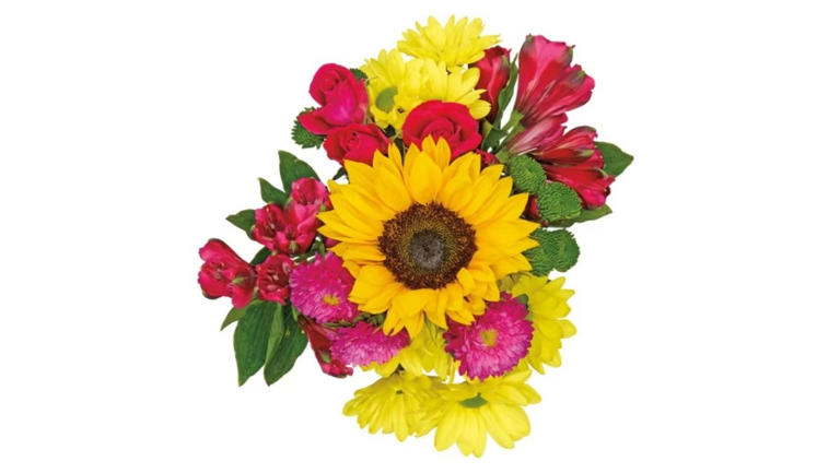 See what gorgeous spring flowers are coming to Aldi