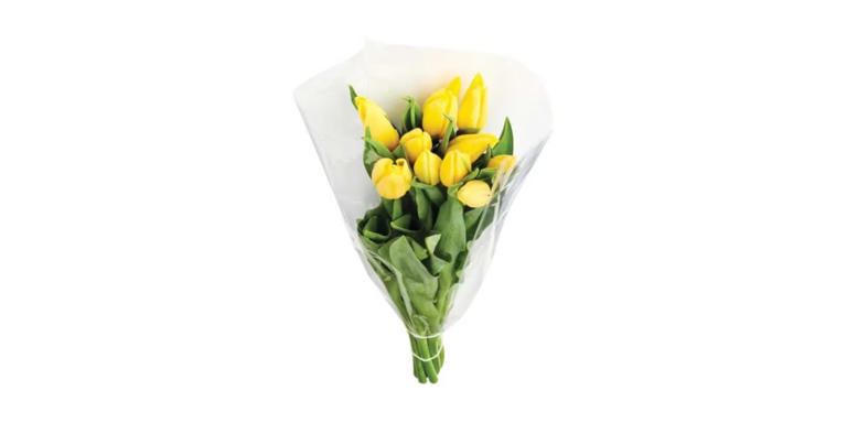 See what gorgeous spring flowers are coming to Aldi