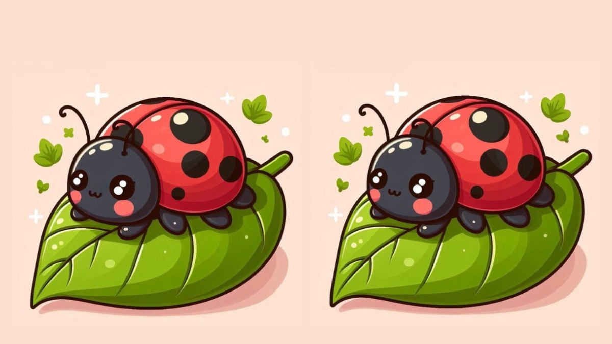Spot 3 differences between ladybugs in 29 seconds!